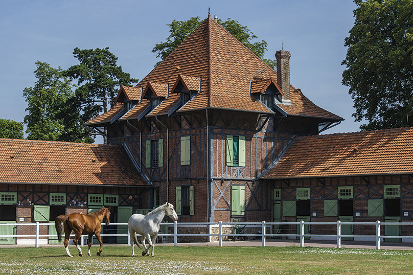 L'ÉQUITATION OUVERTE DU HARAS DE JARDY